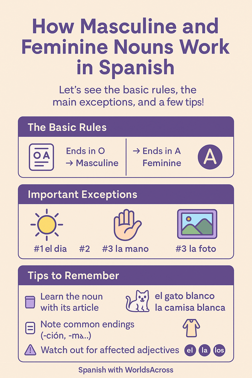 How do masculine and feminine nouns work in Spanish?