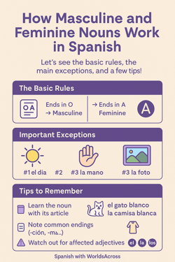 How do masculine and feminine nouns work in Spanish?